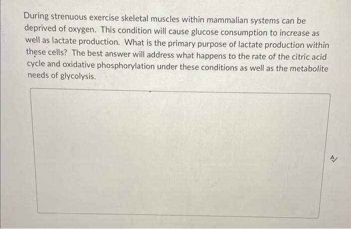 During strenuous exercise skeletal muscles within | Chegg.com