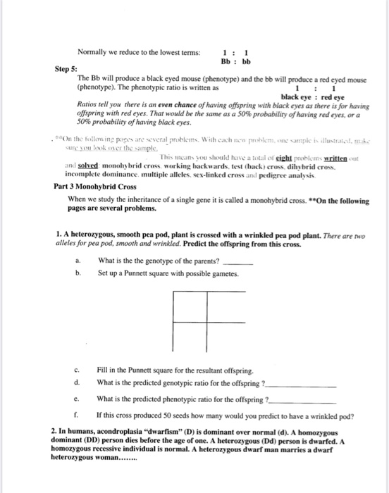 Solved Genetics Worksheet Part 1 Introduction: 1. Describe | Chegg.com