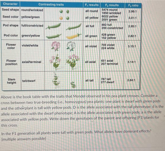 Solved Above is the book table with the traits that Mendel | Chegg.com