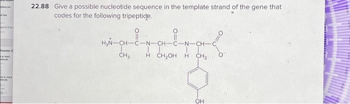 Solved 22.88 Give a possible nucleotide sequence in the | Chegg.com