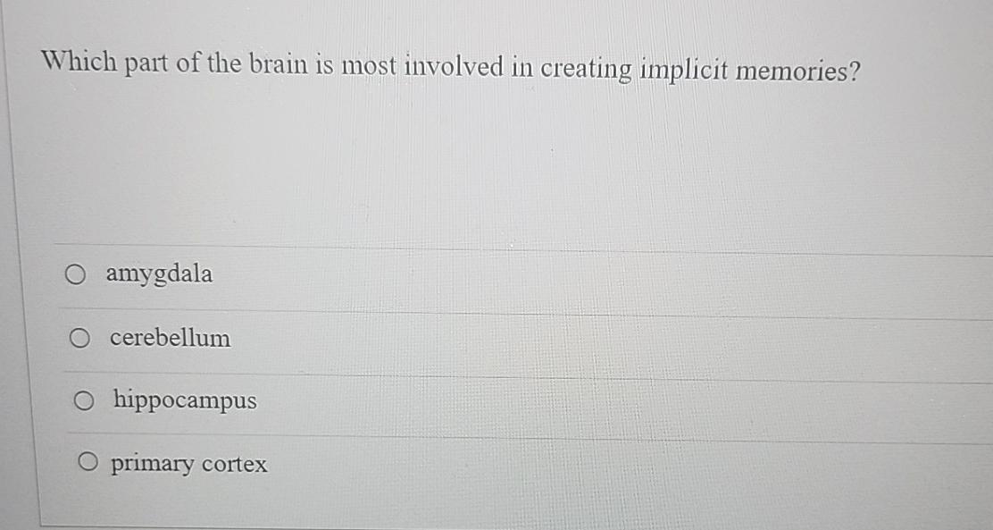 Solved Which part of the brain is most involved in creating | Chegg.com