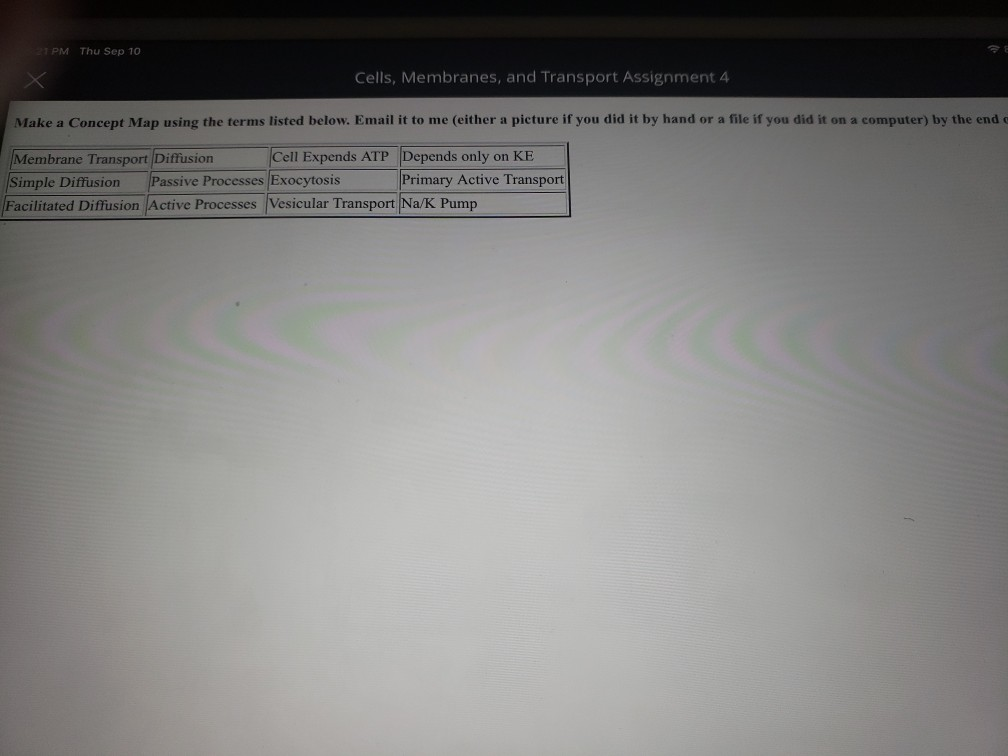 Solved PM Thu Sep 10 Cells, Membranes, and Transport | Chegg.com