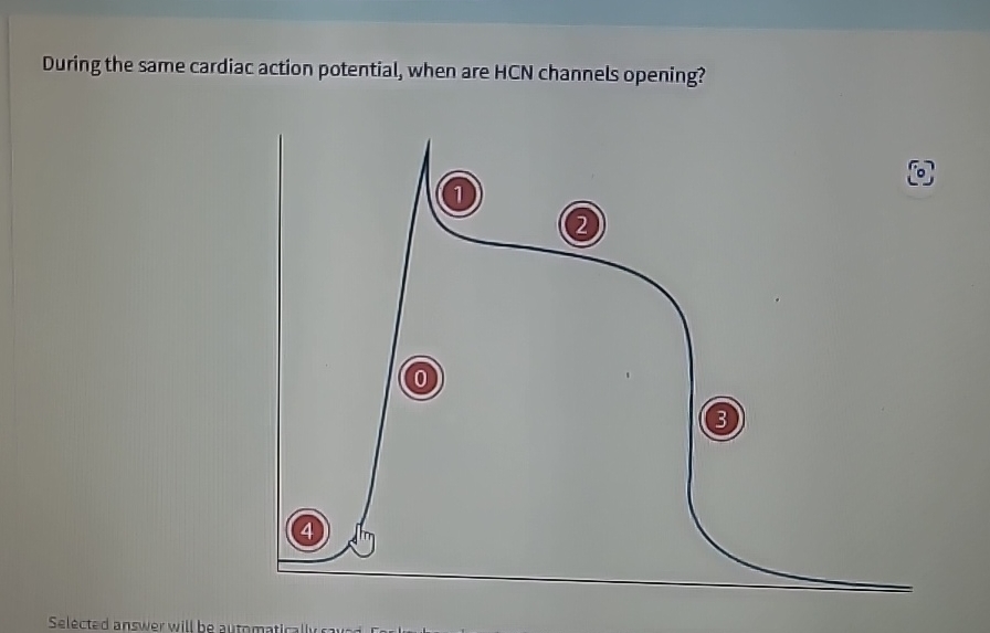 Solved During the same cardiac action potential, when are | Chegg.com