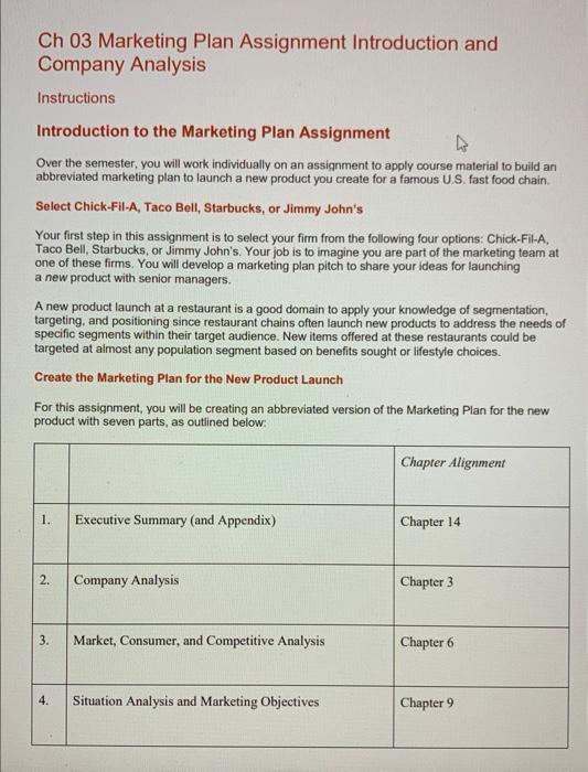 Solved Ch 03 Marketing Plan Assignment Introduction and | Chegg.com