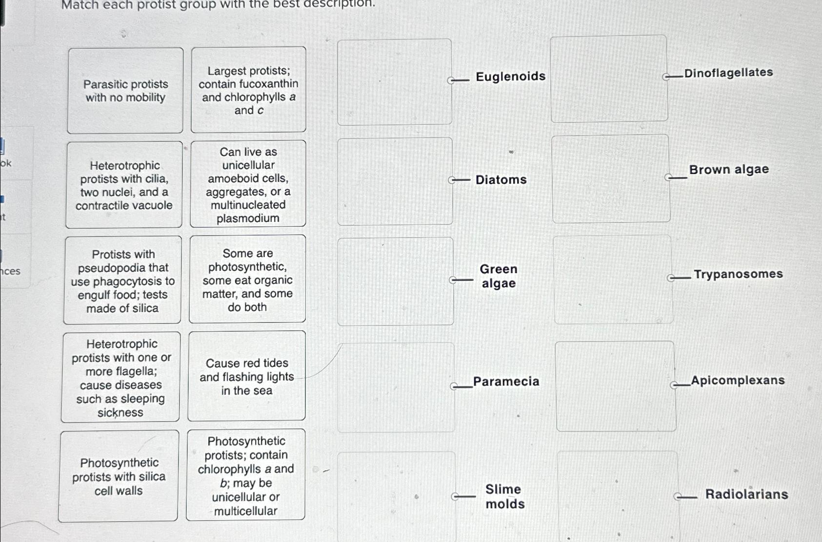 Solved Match each protist group with the best | Chegg.com