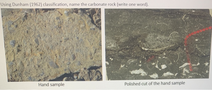 Solved Using Dunham (1962) classification, name the | Chegg.com