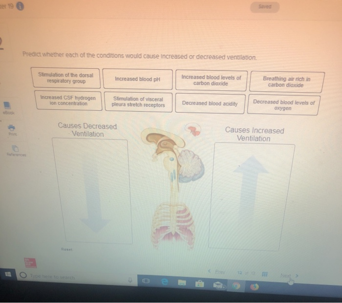 Solved predict whether each of the conditions would cause | Chegg.com