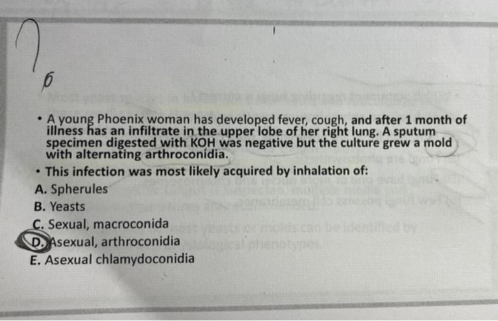 Solved 6 • A young Phoenix woman has developed fever, cough, | Chegg.com