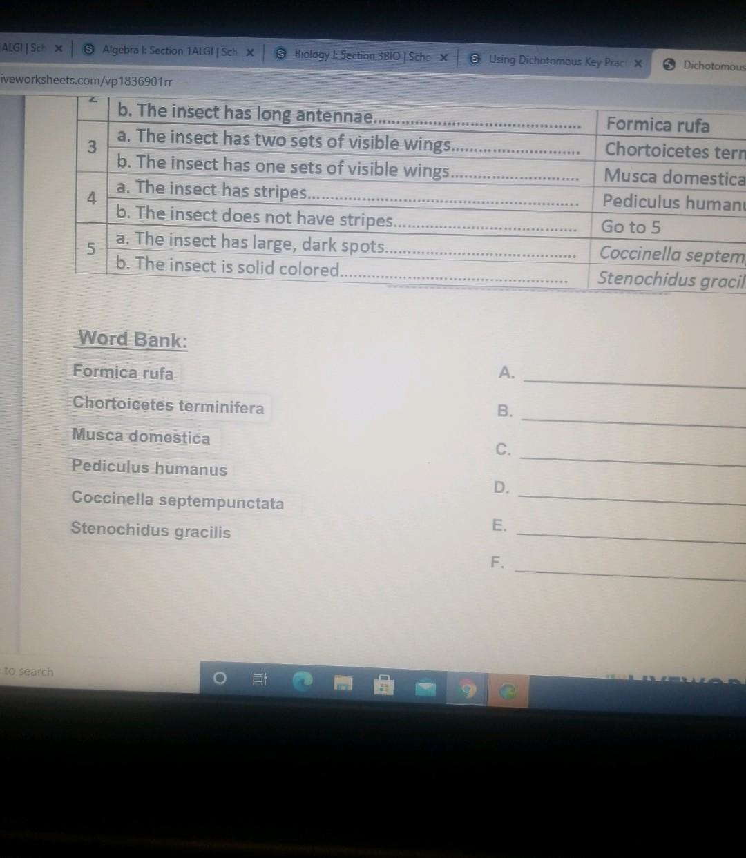 Solved Schx S Algebra : Section 1ALGI|Sch X S Biology l: | Chegg.com