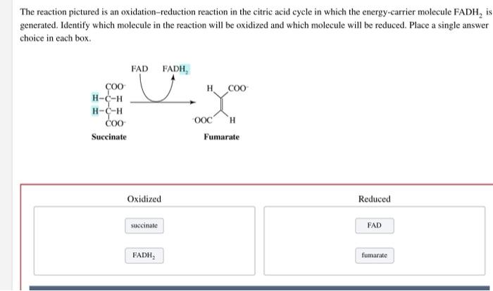 Solved The reaction pictured is an oxidation-reduction | Chegg.com