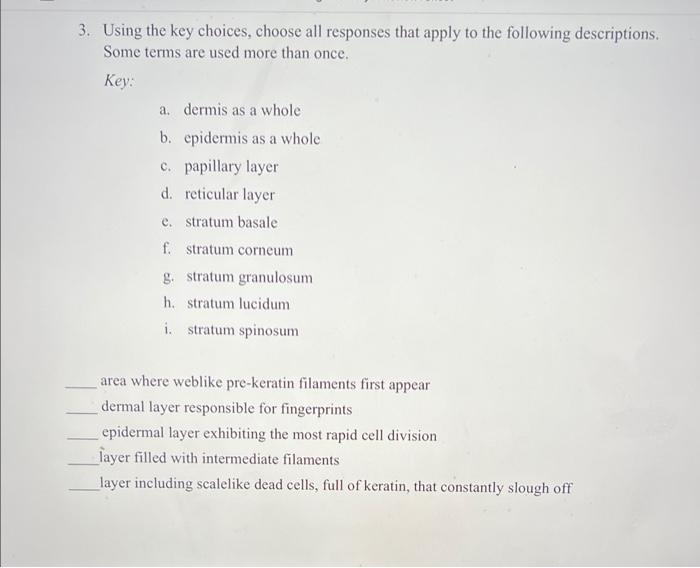 3. Using the key choices, choose all responses that | Chegg.com