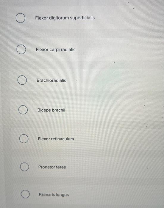 Solved WomN Jbsermificcom Which structure is highlighted and | Chegg.com