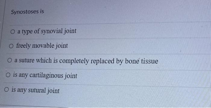 Solved Synostoses is a type of synovial joint freely movable | Chegg.com