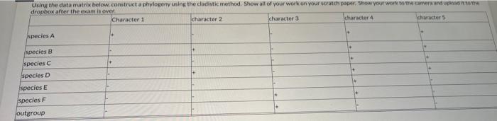 Solved Using the data matrix below, construct a phylogeny | Chegg.com
