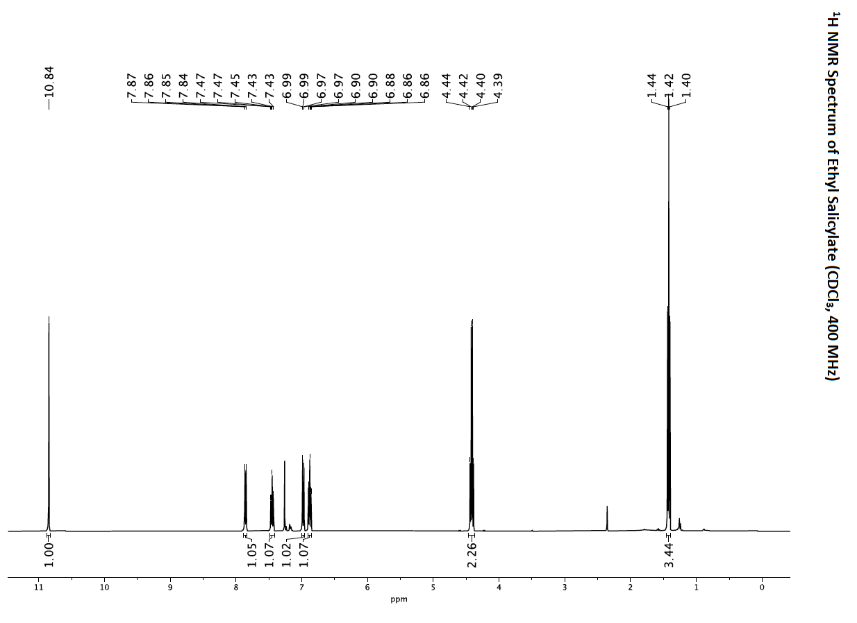 Solved Draw the structure of your ester product and label | Chegg.com