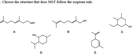 Solved Choose the structure that does NOT follow the | Chegg.com
