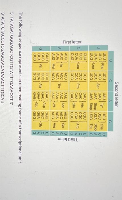 Solved Second letter The following sequence represents an | Chegg.com