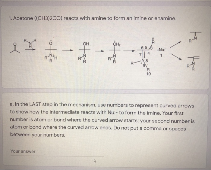 Solved 1. Acetone ((CH3)2CO) reacts with amine to form an | Chegg.com