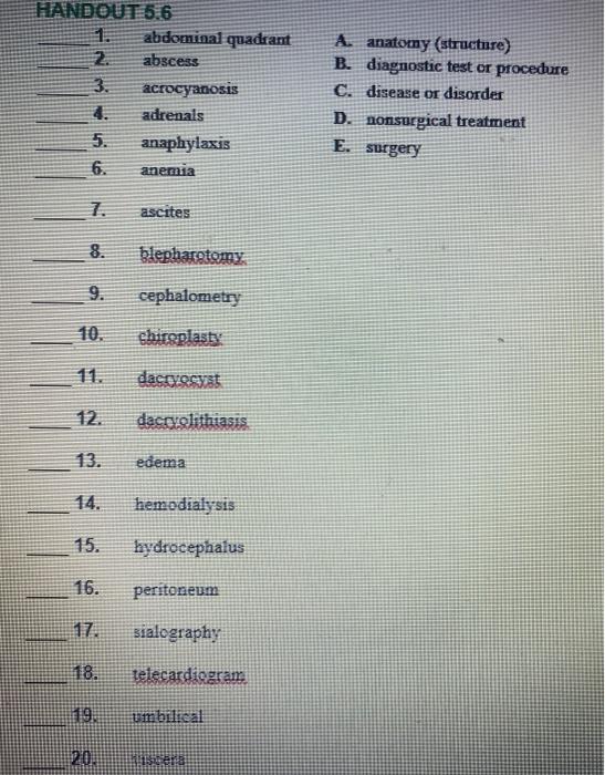 Solved HANDOUT 5.6 1. abdominal quadrant abscess | Chegg.com