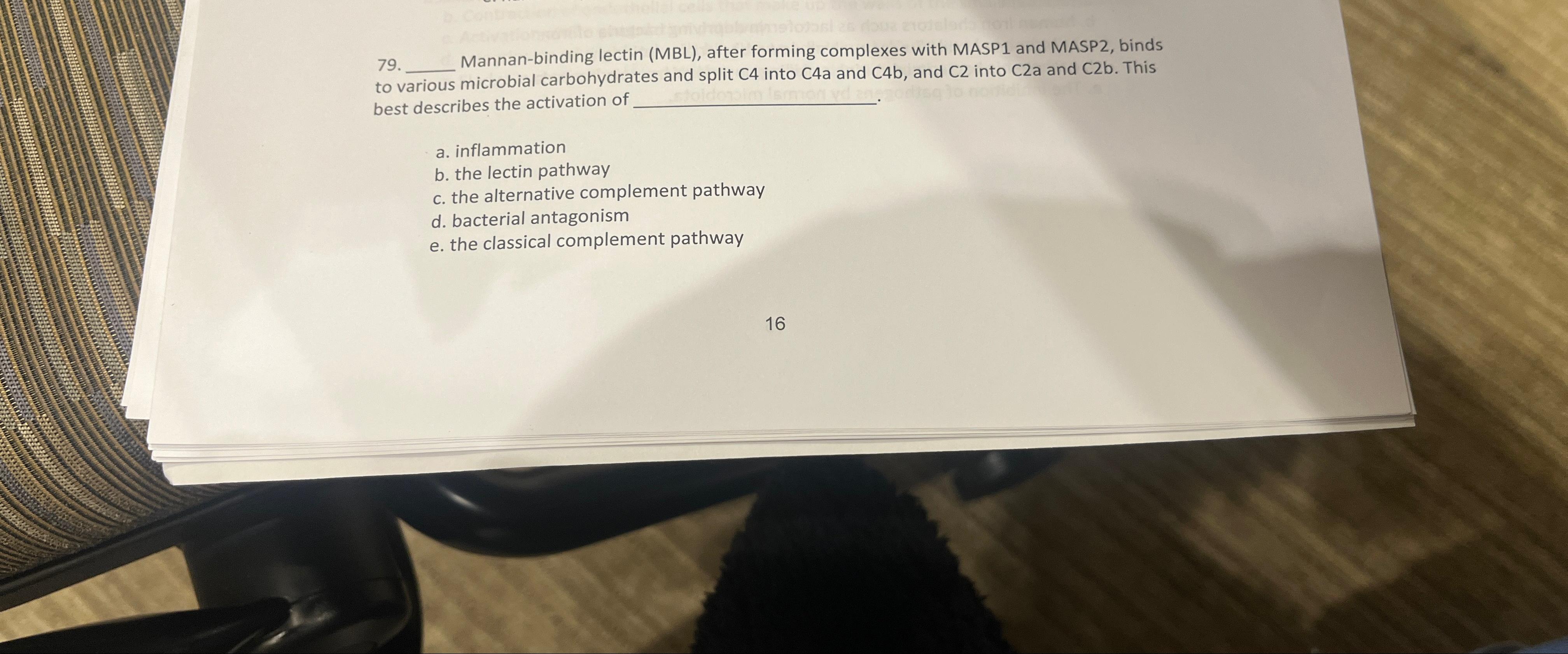 Solved Mannan Binding Lectin Mbl ﻿after Forming Complexes