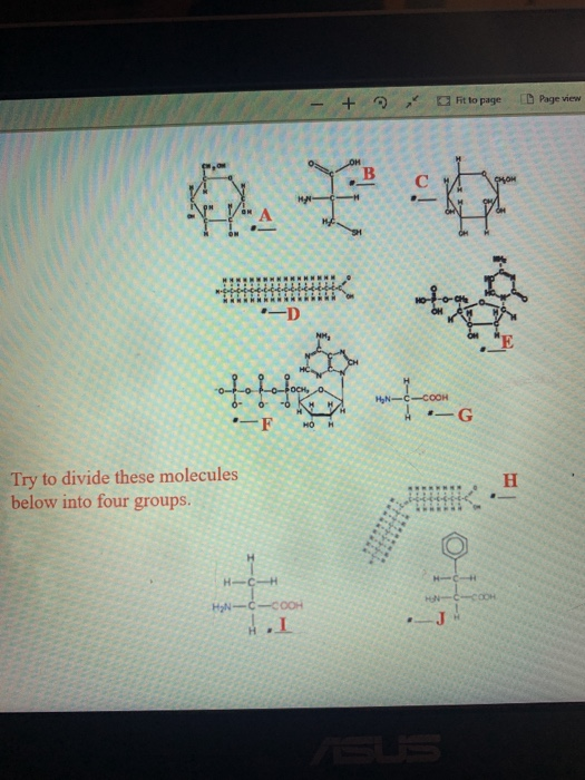 Solved Which macromolecule does each structure group | Chegg.com
