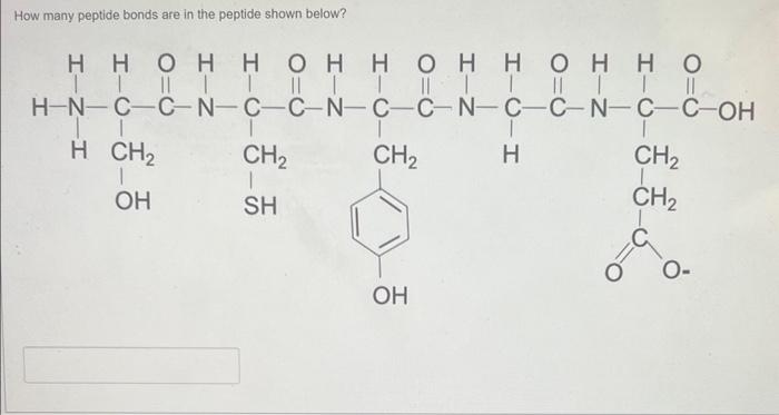 Solved How many peptide bonds are in the peptide shown | Chegg.com