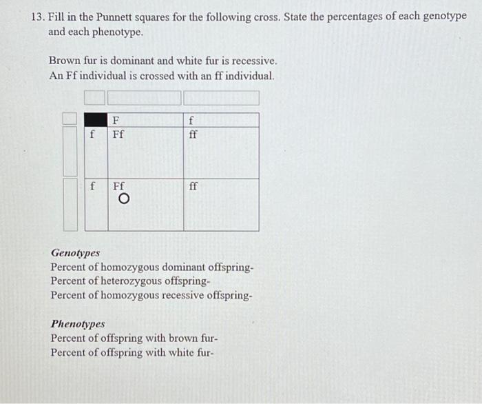 Solved 13. Fill in the Punnett squares for the following | Chegg.com