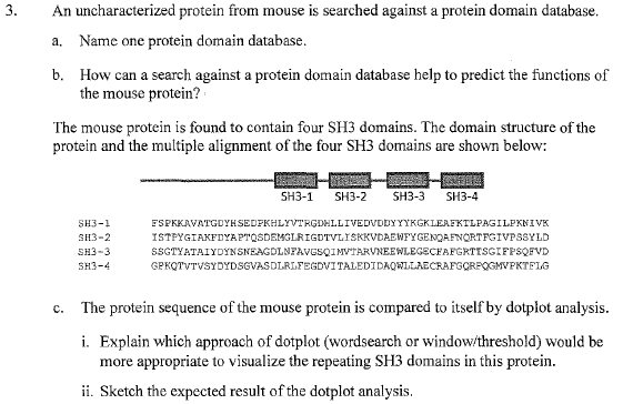 Solved An Uncharacterized Protein From Mouse Is Searched