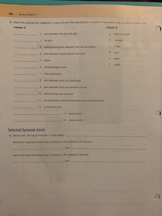 Solved 180 Review Sheet 11 5. Match the synovial joint | Chegg.com