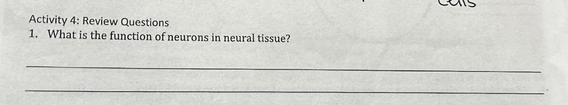Solved Activity 4 Review Questionswhat Is The Function Of