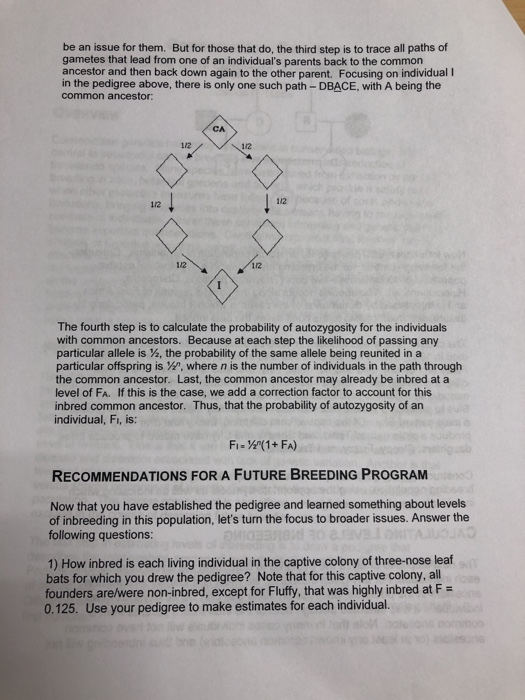 Solved Conservation Genetics Inbreeding and Captive Breeding | Chegg.com
