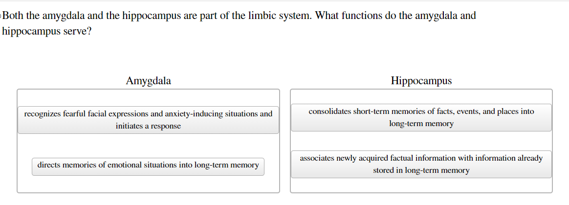 Solved Both the amygdala and the hippocampus are part of the | Chegg.com