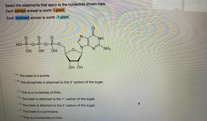 Solved Select the statements that apply to the nucleotide | Chegg.com