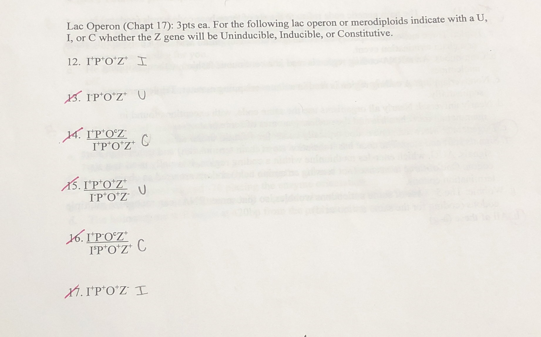 Solved Lac Operon (Chapt 17): 3 ﻿pts ea. ﻿For the following | Chegg.com