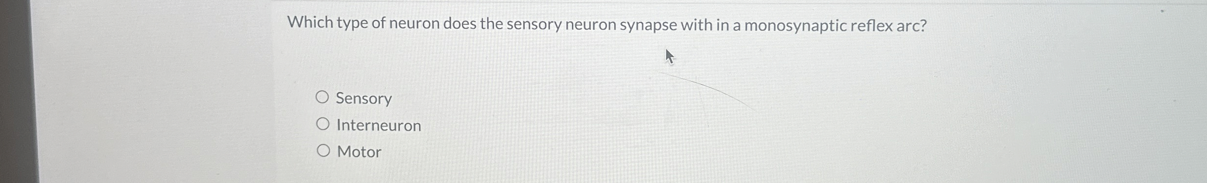 Solved Which type of neuron does the sensory neuron synapse | Chegg.com