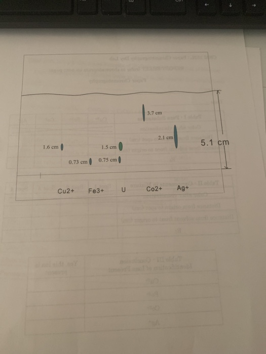 Solved CHM 152L : Paper Chromatography Dry Lab REPORT SHEET | Chegg.com