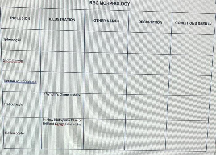 Solved RBC MORPHOLOGY | Chegg.com