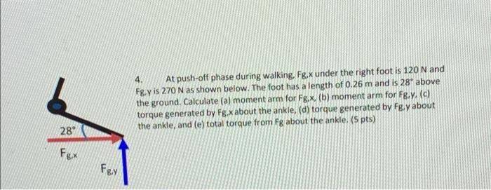 Solved 4. At push-off phase during walking, Fg.x under the | Chegg.com