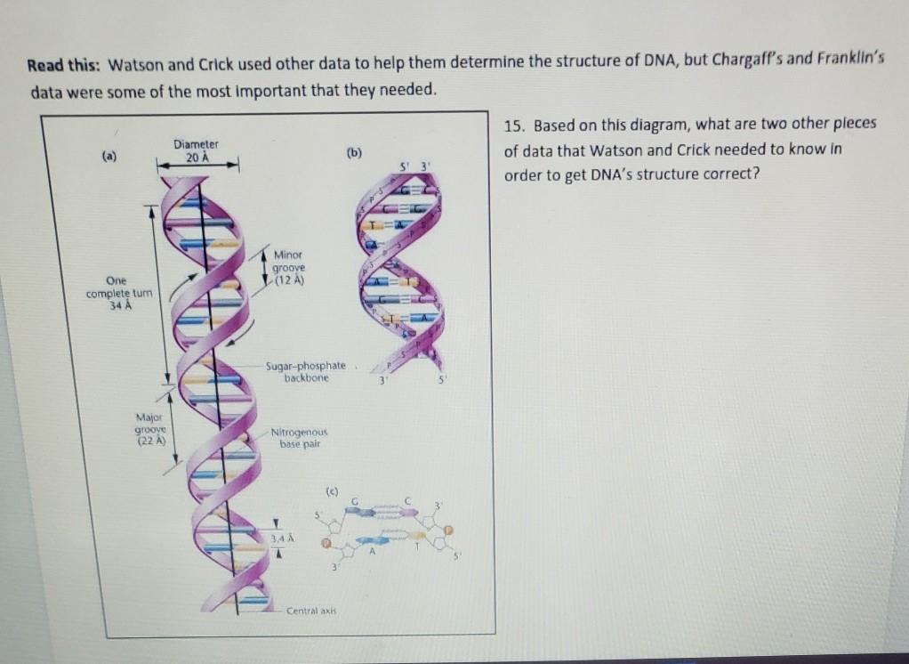 Solved Read this: Watson and Crick used other data to help | Chegg.com