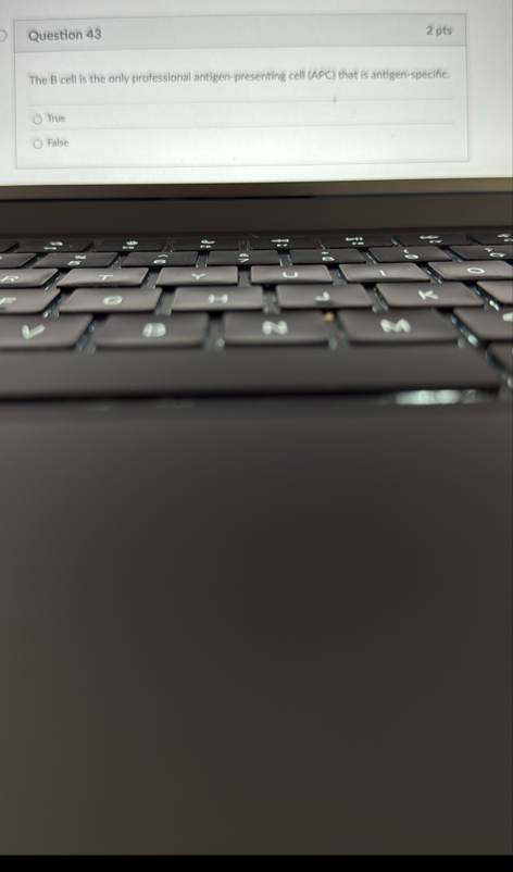 Solved Question 432 ﻿ptsThe B cell is the only professional | Chegg.com