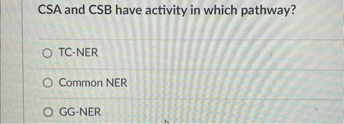 Solved CSA and CSB have activity in which pathway? TC-NER | Chegg.com