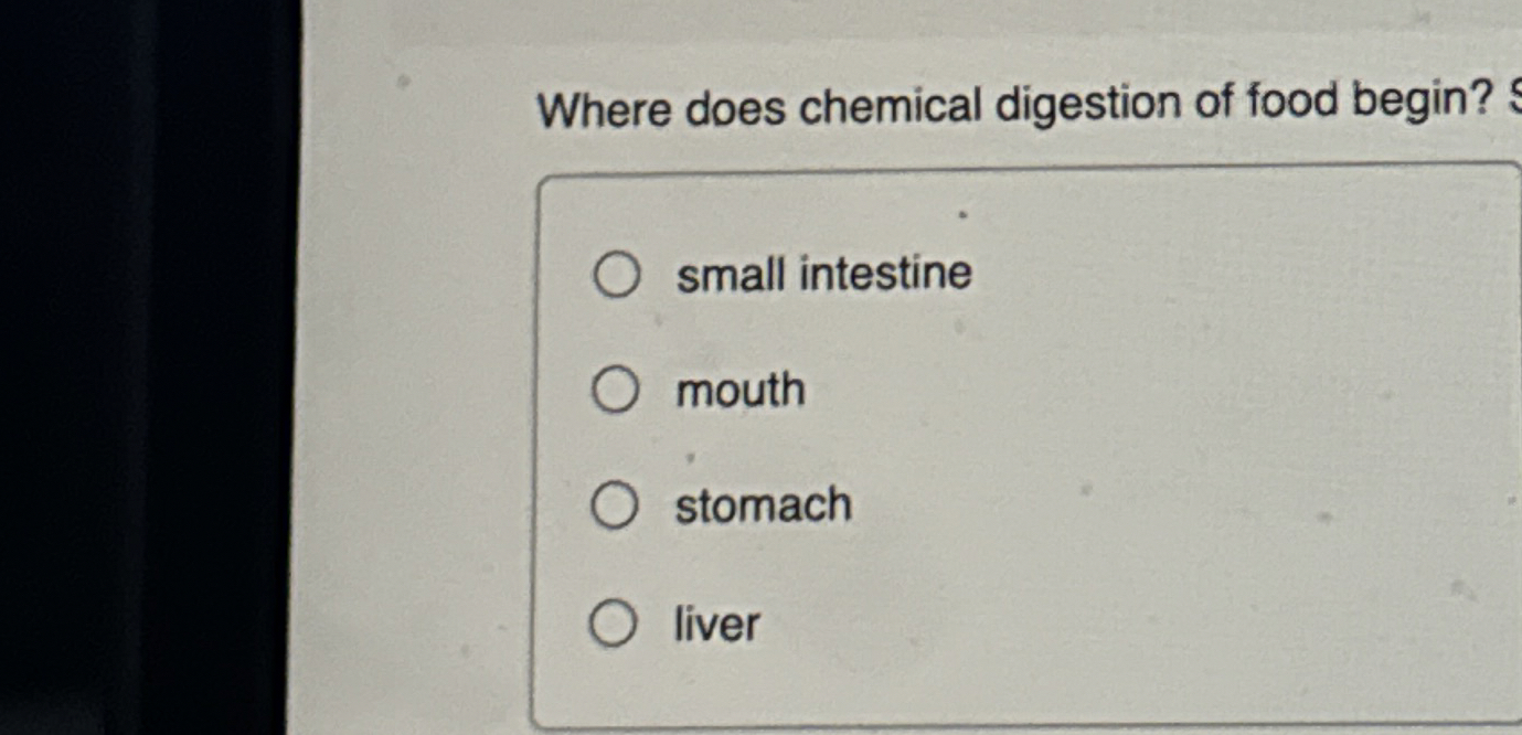 Solved Where does chemical digestion of food begin?small | Chegg.com