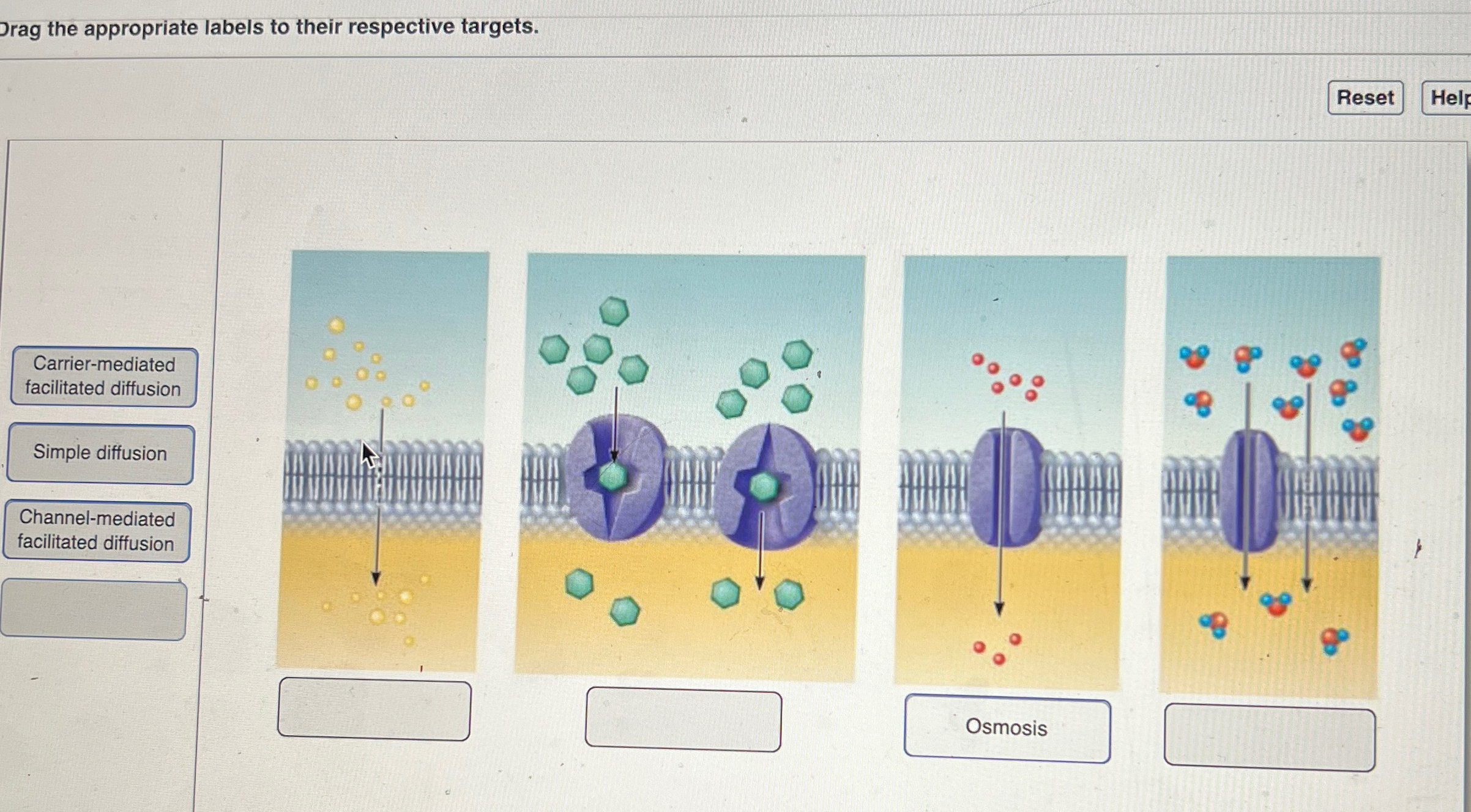 Solved Jrag the appropriate labels to their respective | Chegg.com
