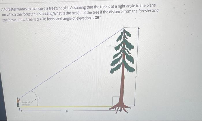 Solved A forester wants to measure a tree's height. Assuming | Chegg.com