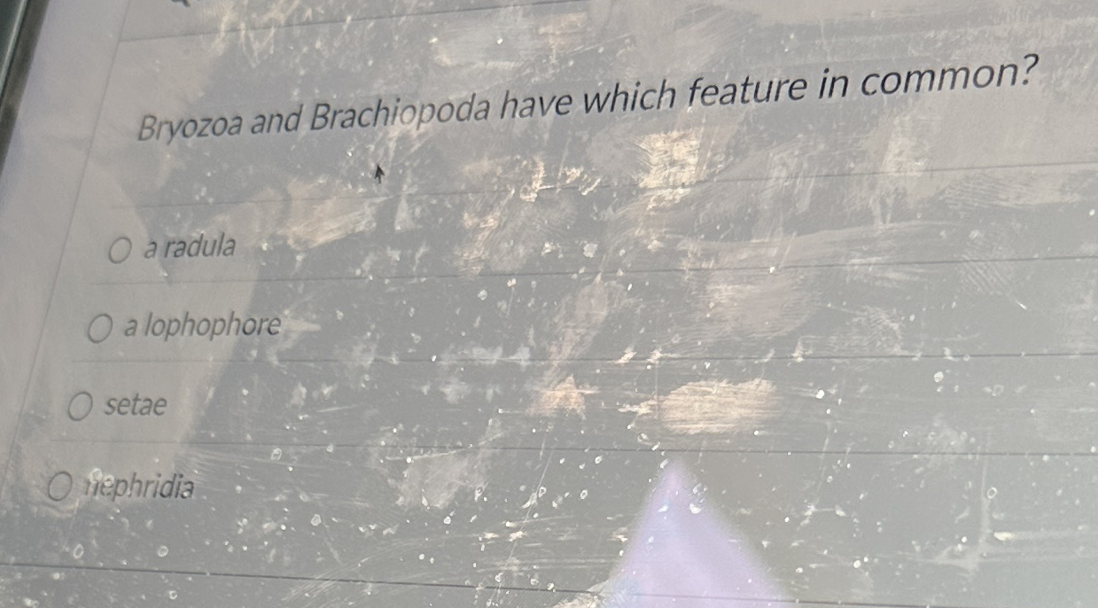 Solved Bryozoa and Brachiopoda have which feature in | Chegg.com