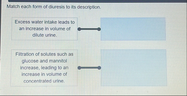 Solved Match each form of diuresis to its description.Excess | Chegg.com