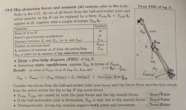 13.9 Hip abduction forces and moment (2D analysis, | Chegg.com