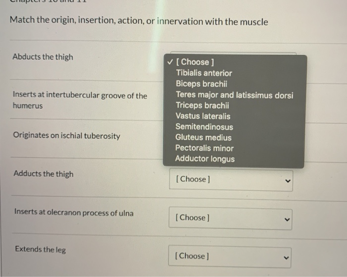 Solved Match the origin, insertion, action, or innervation | Chegg.com