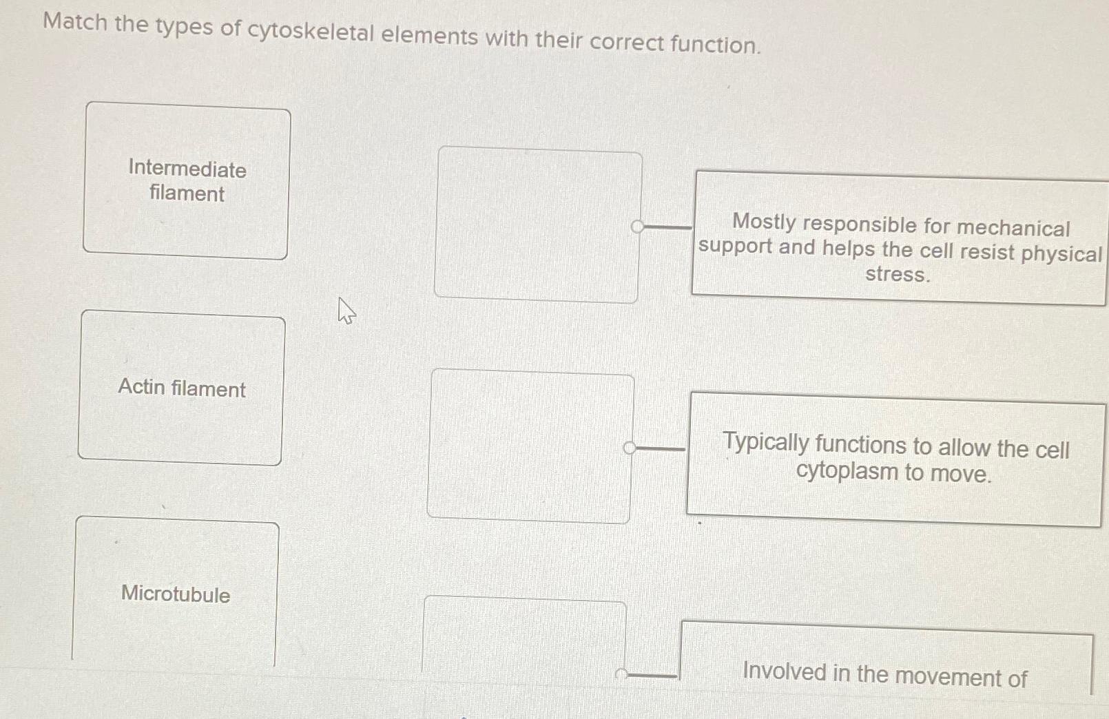 Solved Match The Types Of Cytoskeletal Elements With Their