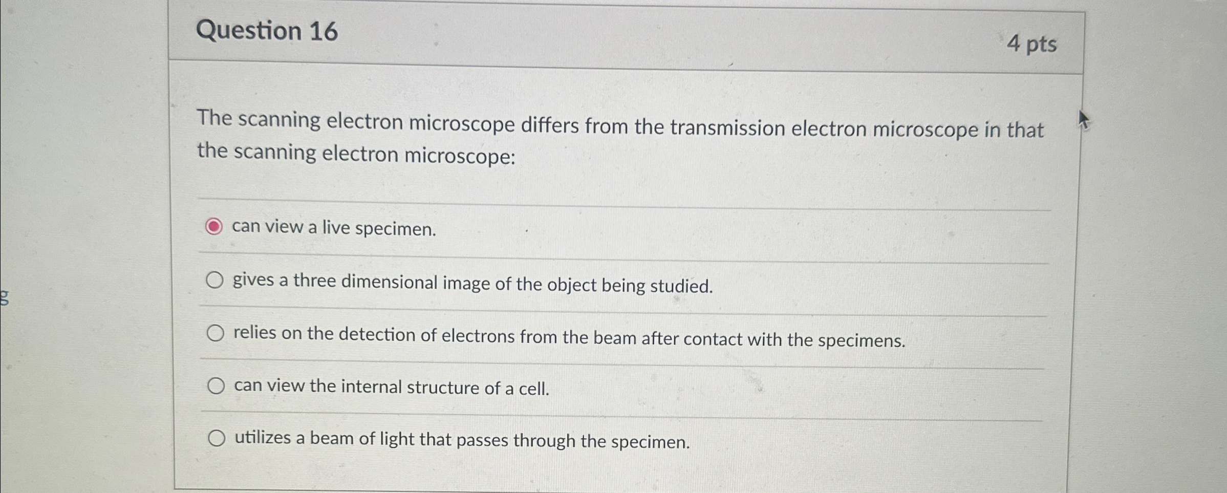 Solved Question 164 ﻿ptsThe scanning electron microscope | Chegg.com